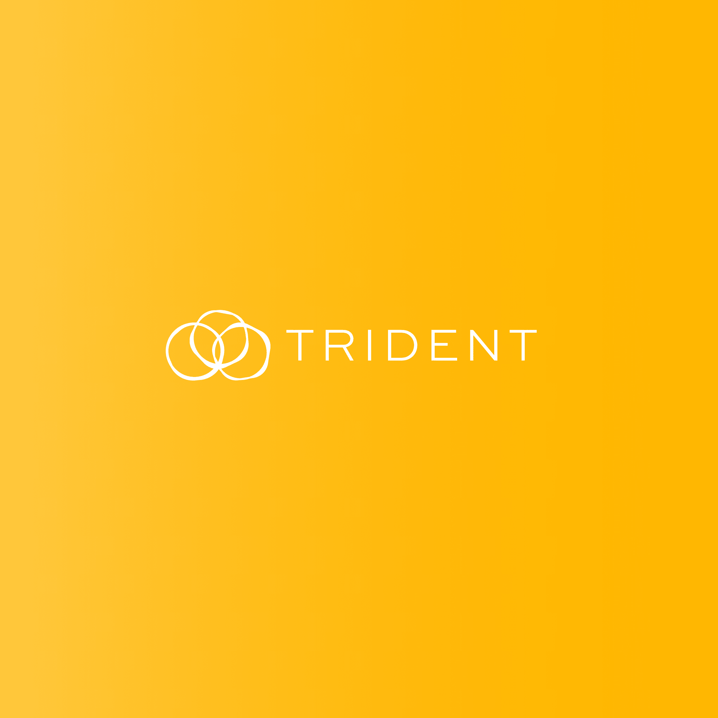 Trident Resources Corp. - AGM